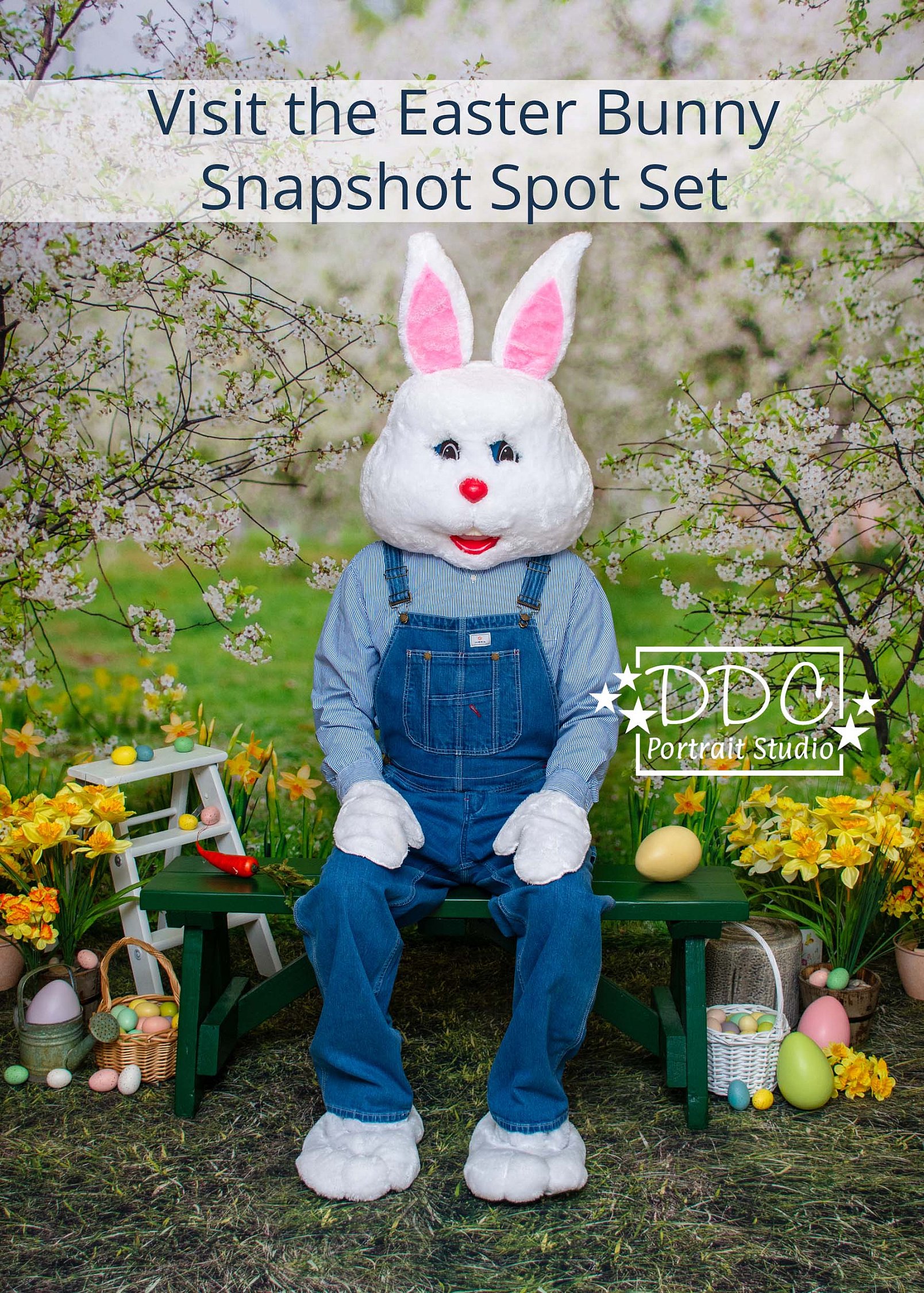 Blog - 2024 - DDC Portrait Studio